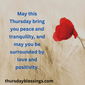 Thursday Blessings